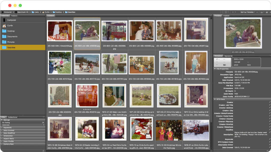 Best Photo Organizing Software in India for 2025 - Get Free Demo
