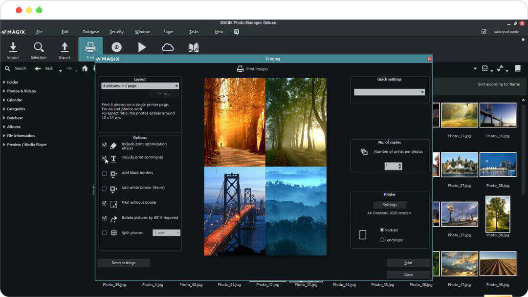 Best Photo Organizing Software in India for 2025 - Get Free Demo